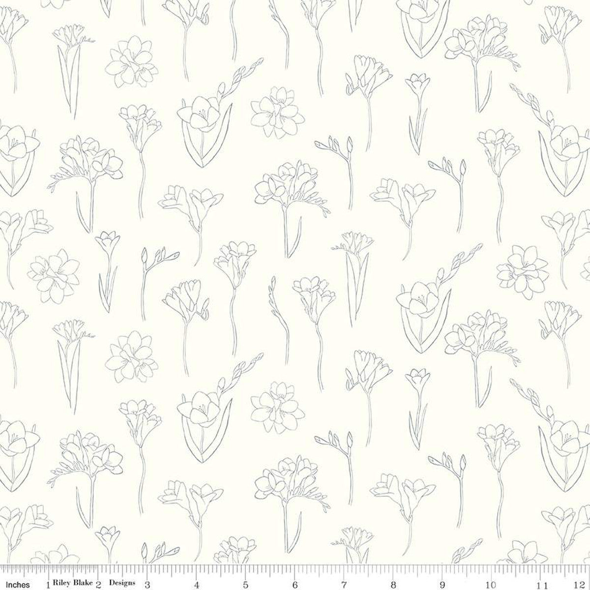 South Hill Fresias Cream – LarkCottons
